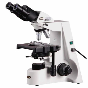 Buy AmScope B660B-PL, Binocular Microscope Halogen Kohler Illumination ...