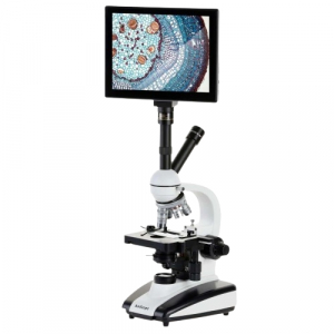 Buy AmScope D130-TP, 40X-1000X Monocular LED Student Microscope - Prime ...