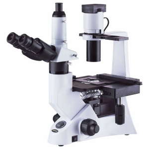 Buy AmScope IN330TB-5M3, Trinocular Microscope 40X-800X 5.0MP USB 3.0 ...