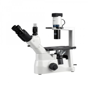 Buy AmScope IN400T-5M3, Trinocular Microscope 40X-600X with 5MP Camera ...