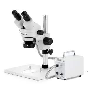 Buy AmScope SM-1B-30WR-3M, 7X-45X Binocular Stereo Zoom Microscope 3MP ...