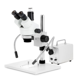 Buy AmScope SM-1T-30WY-8M, Trinocular Stereo Microscope 7X-45X 8MP ...