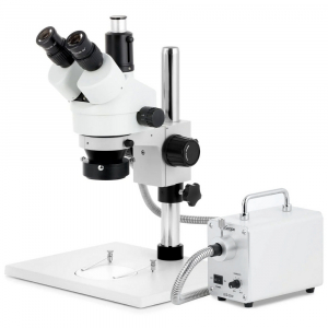 Buy AmScope SM-1TYY-30WR-10M, Trinocular Microscope 7X-135X 10MP Camera ...