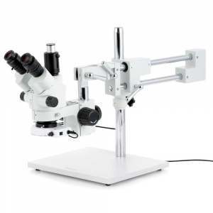 Buy AmScope SM-4NTPZZ-80S-M, Trinocular Microscope 3.5X-180X 1.3MP ...