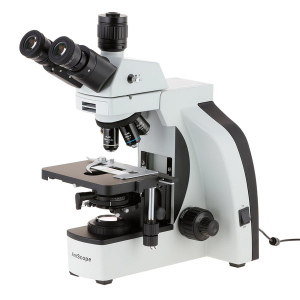Buy AmScope T800-14M3, T800 Trinocular Compound 40X-1000X Microscope ...
