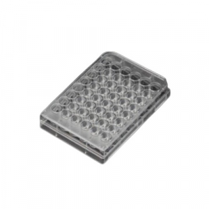 Buy Biologix 30048, Cell Culture Plate, PS, 48 Well, Flat Bottom - Prime Lab Med