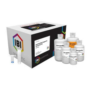 Buy IBI Scientific IB47030, Gel Extraction and PCR Cleanup Kit - Prime ...