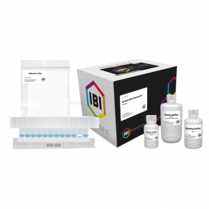 Buy IBI Scientific IB47040, 2 x 96 Well PCR Clean-Up Kit - Prime Lab Med