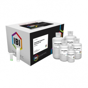 Buy IBI Scientific IB47062, Small DNA Fragment Extraction Kit - Prime ...