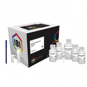 Buy IBI Scientific IB47222, Mini Genomic DNA Kit for 300 Preparations, Tissue - Prime Lab Med