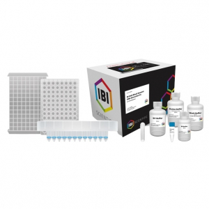Buy IBI Scientific IB47250, 2 x 96-Well Genomic DNA Blood Kit - Prime Lab Med