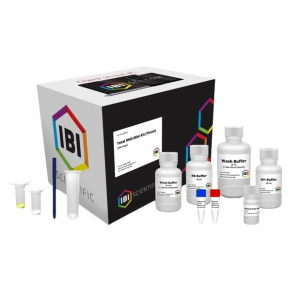 Buy IBI Scientific IB47302, Mini Total RNA Kit for 100 Preparations ...