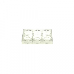 Buy NEST Scientific 714011, TC-Treated Sterile 6 Well Low Evap EDGE ...