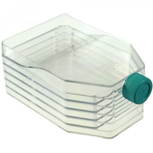 Buy NEST Scientific 731001, TC-Treated 5-Layer Cell Culture Flask ...