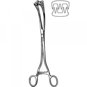 Buy Sklar 91-3795, Segond-Collin Forceps, 4x4 Teeth, Curved On Flat ...