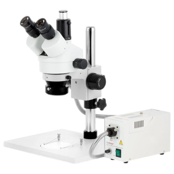 Buy AmScope SM-1TY-FOR-3M, SM-1 Trinocular Stereo Microscope w/150W ...