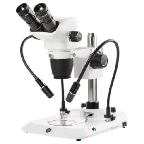 Buy Euromex ENZ-1702-PG, NexiusZoom EVO Binocular Stereo Zoom ...