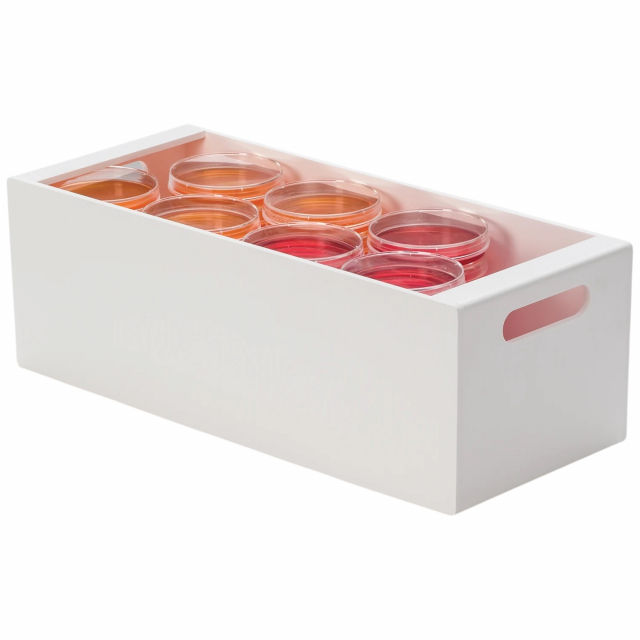Buy Marketlab 15901, Media Plate/Blood Culture Bottle Storage Tote ...